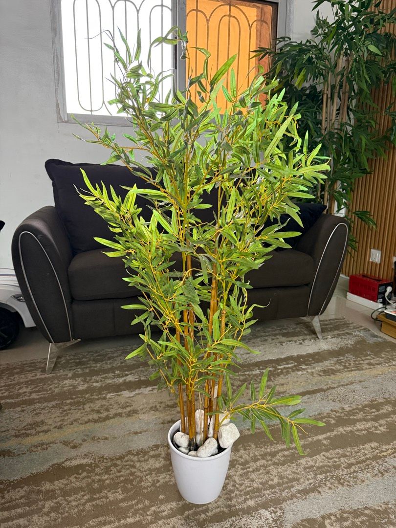 Plante artificielle | FIZZ Côte d'Ivoire