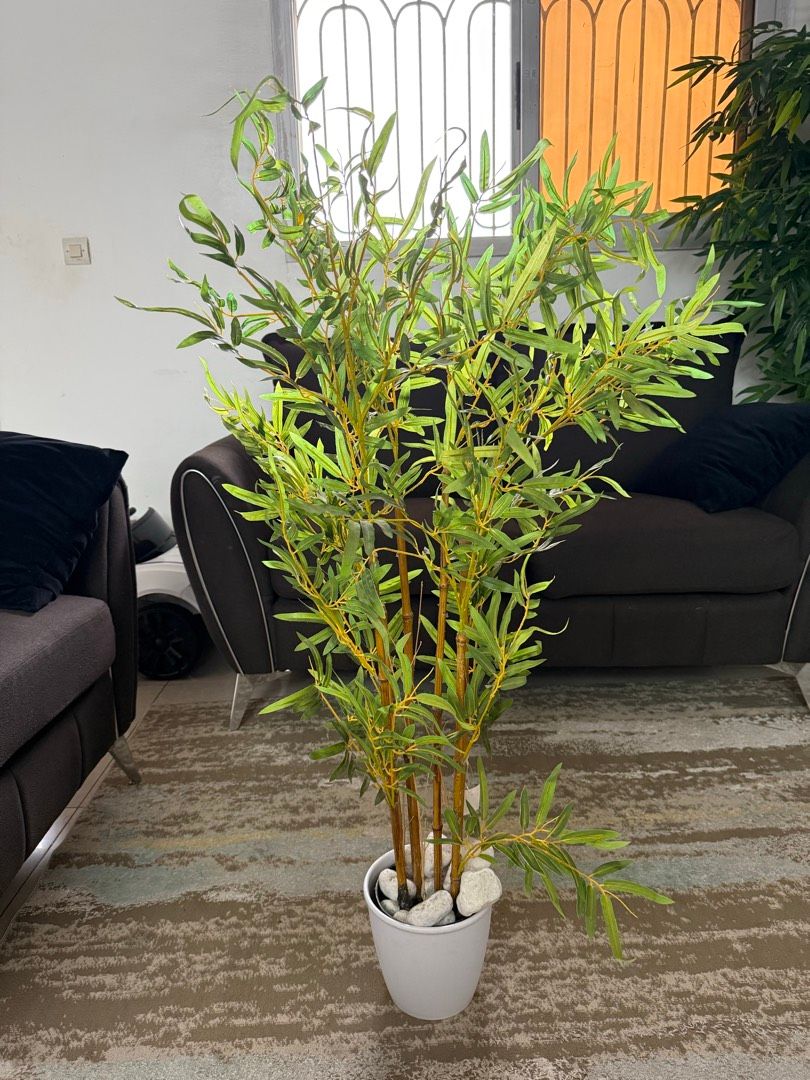 Plante artificielle | FIZZ Côte d'Ivoire